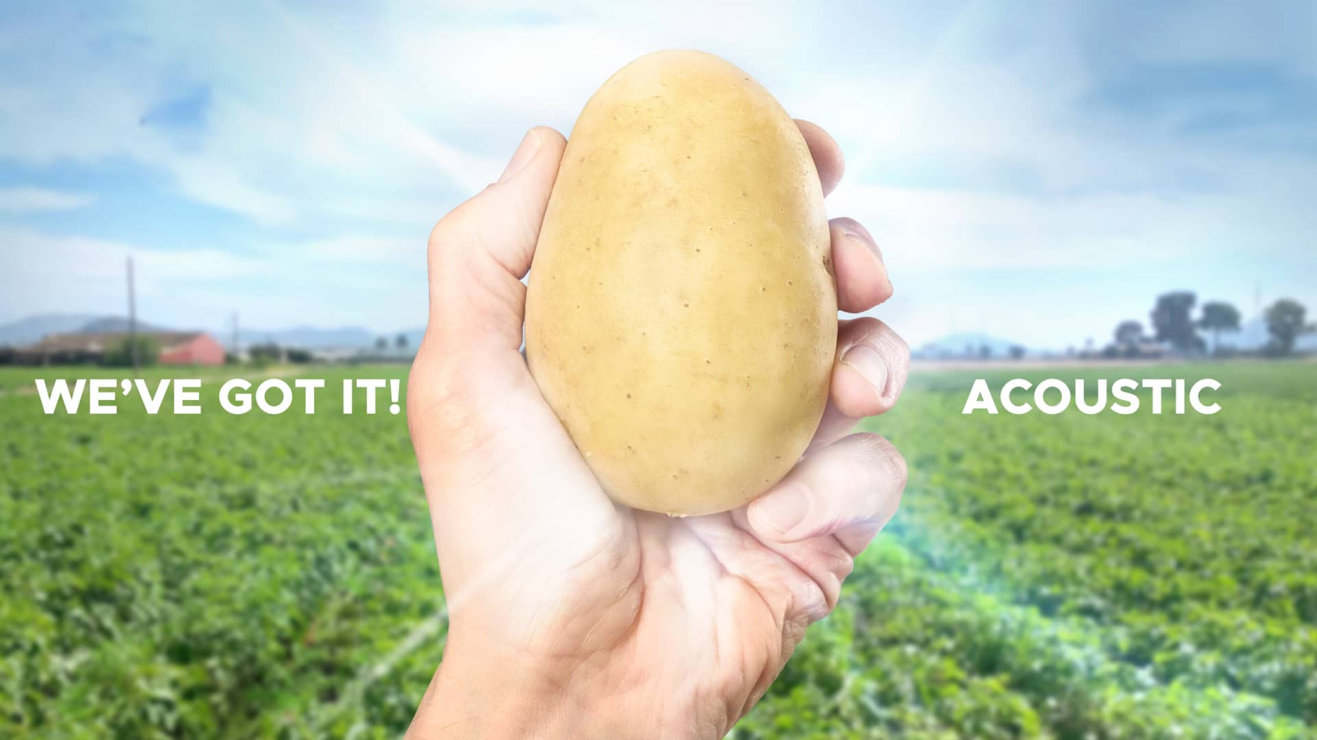 Potato Variety Acoustic on Vimeo