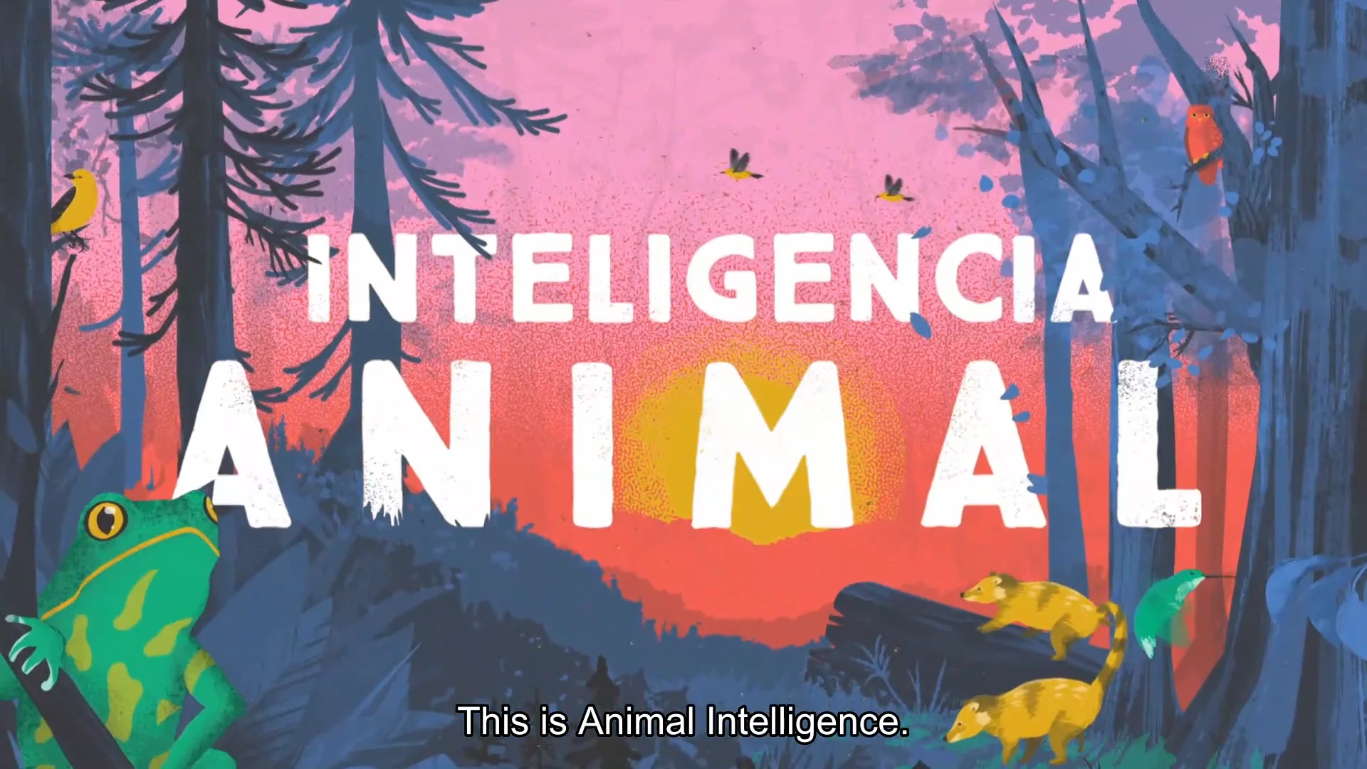 Animal Intelligence (I.A.) - INTELIGENCIA ANIMAL (Animal Intelligence ...