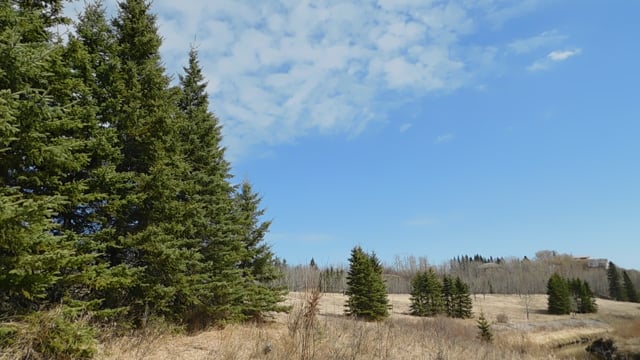 Landscape, Early Spring, Alberta. Free Stock Video - Pixabay