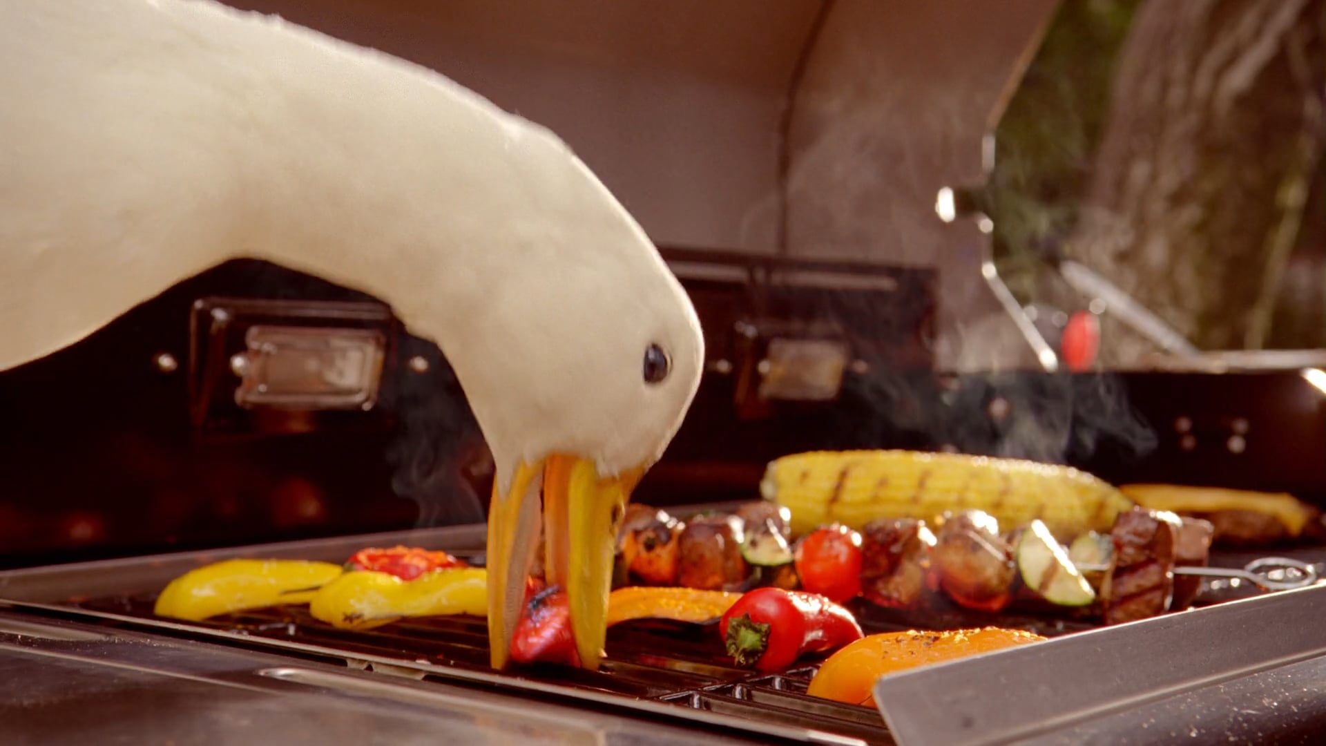 Aflac "Spicy" on Vimeo