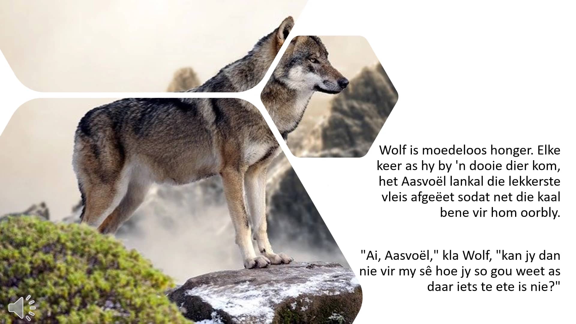 Wolf leer vlieg.mp4 on Vimeo