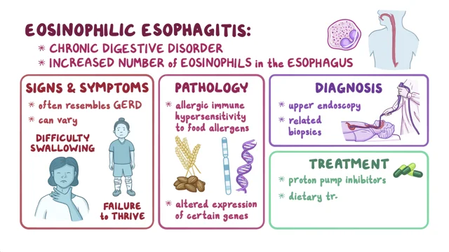 Eosinophilic Esophagitis Pathogenesis
