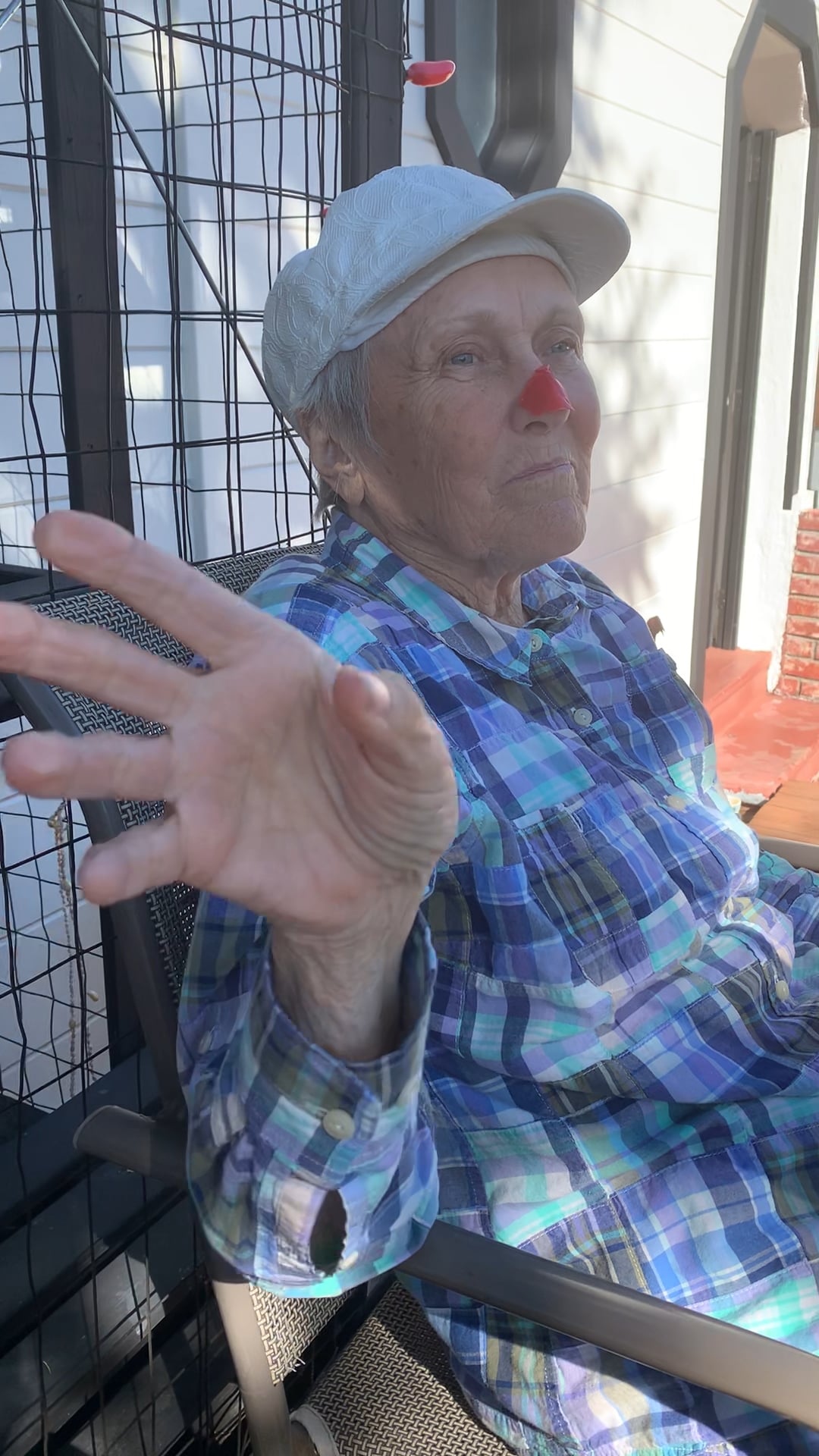 Cheese nose on Vimeo