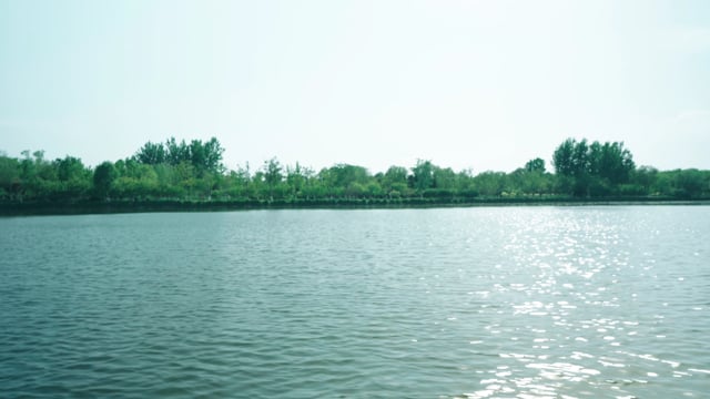 Canal Open Water Surface Free Stock Video - Pixabay