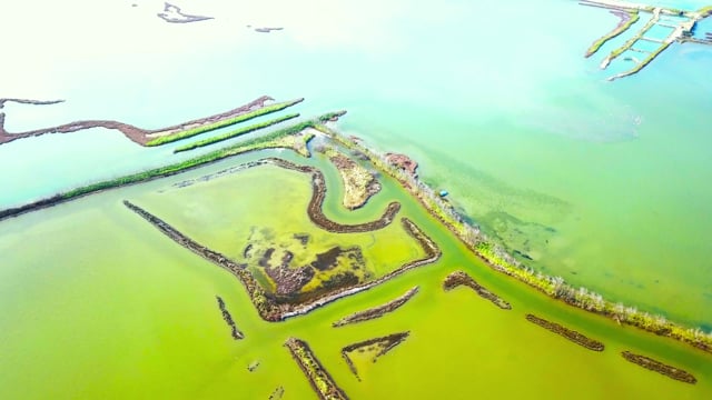 Ocean Lagoon Sea - Free video on Pixabay