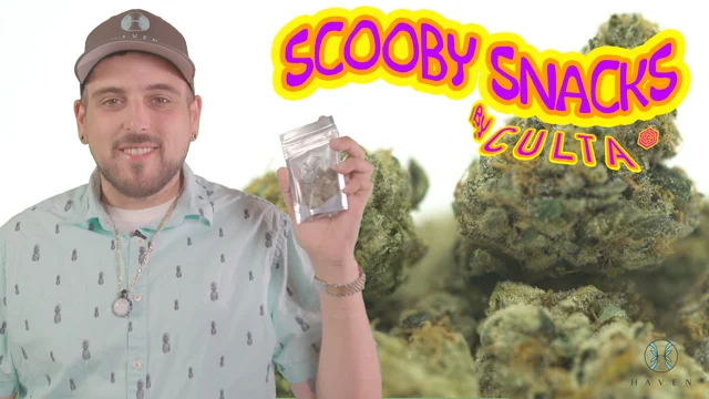 Scooby Snax Kush