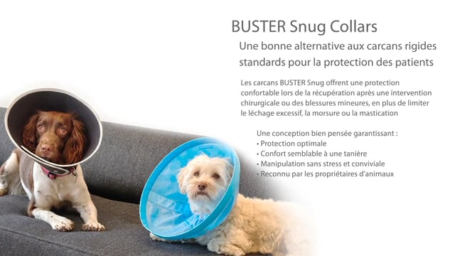 Video to web & download - BUSTER Snug Collars FR.mp4 on Vimeo