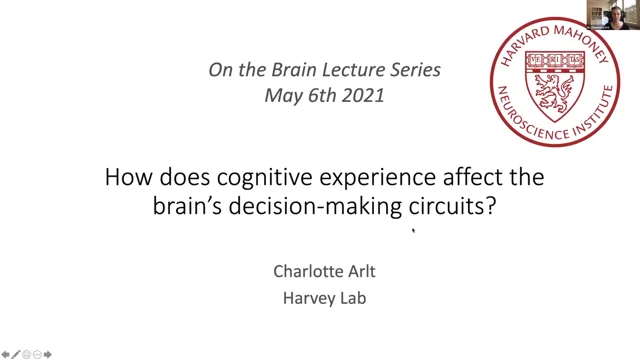 CORES Spring lecture series🤟 Descubra a emoção do 622Bet CORES Spring lecture series🤟 Descubra a emoção do 622Bet
