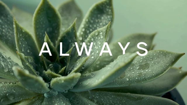 About Us - Shaklee.tv