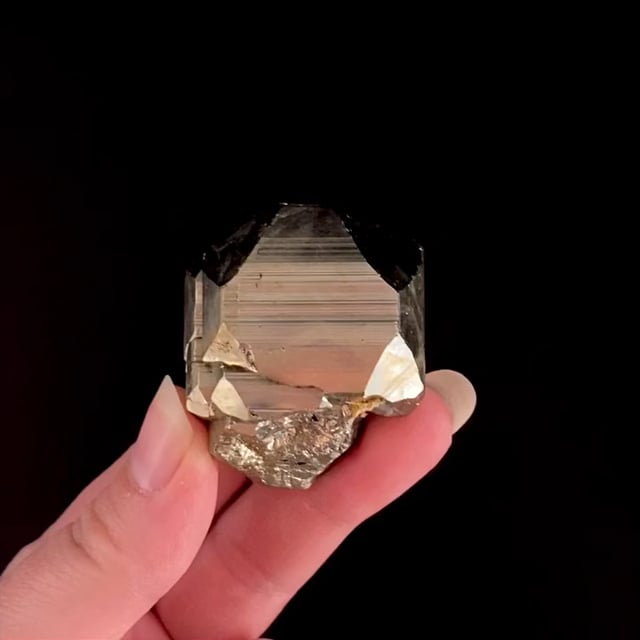 Pyrite (old classic material - rare crystal habit) (ex Dave Bergman ...