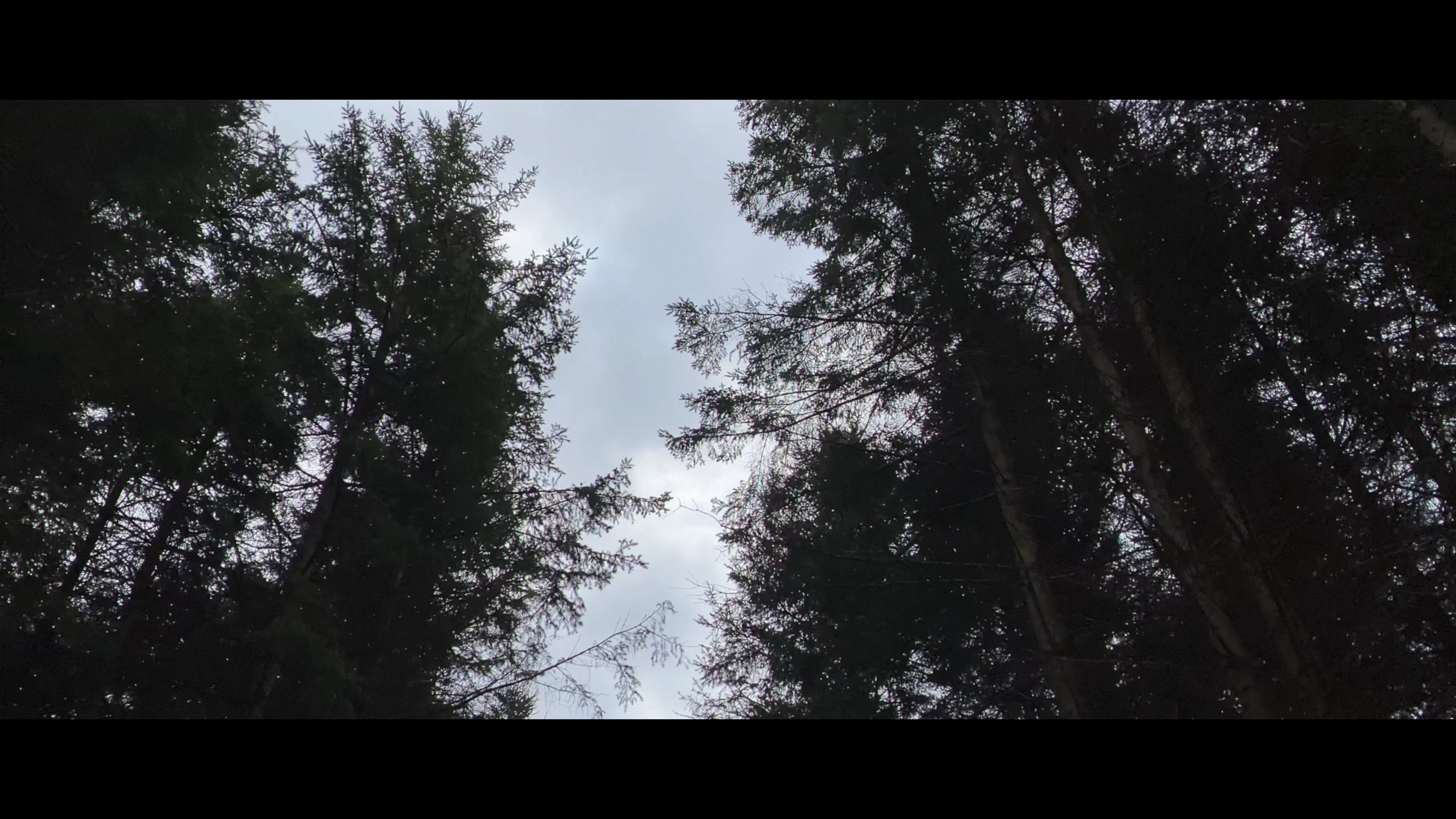 Watch Dark Holler Online | Vimeo On Demand on Vimeo