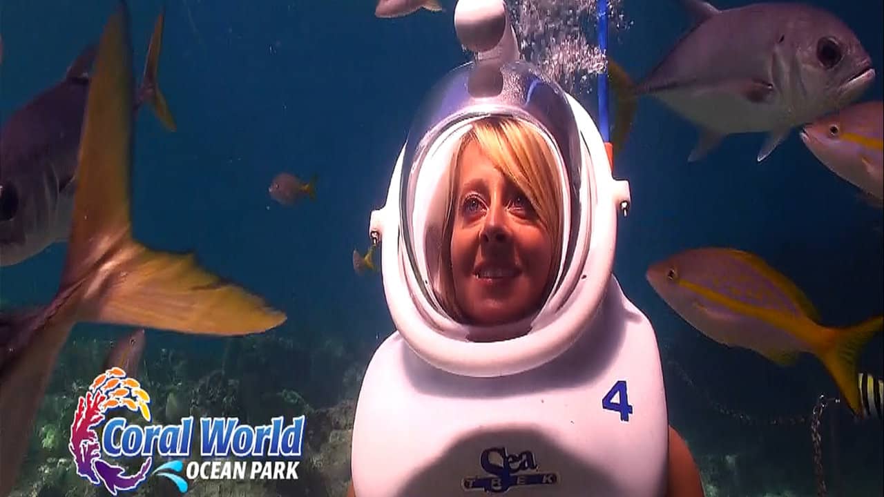 Sea Trek Helmet Dive at Coral World on Vimeo