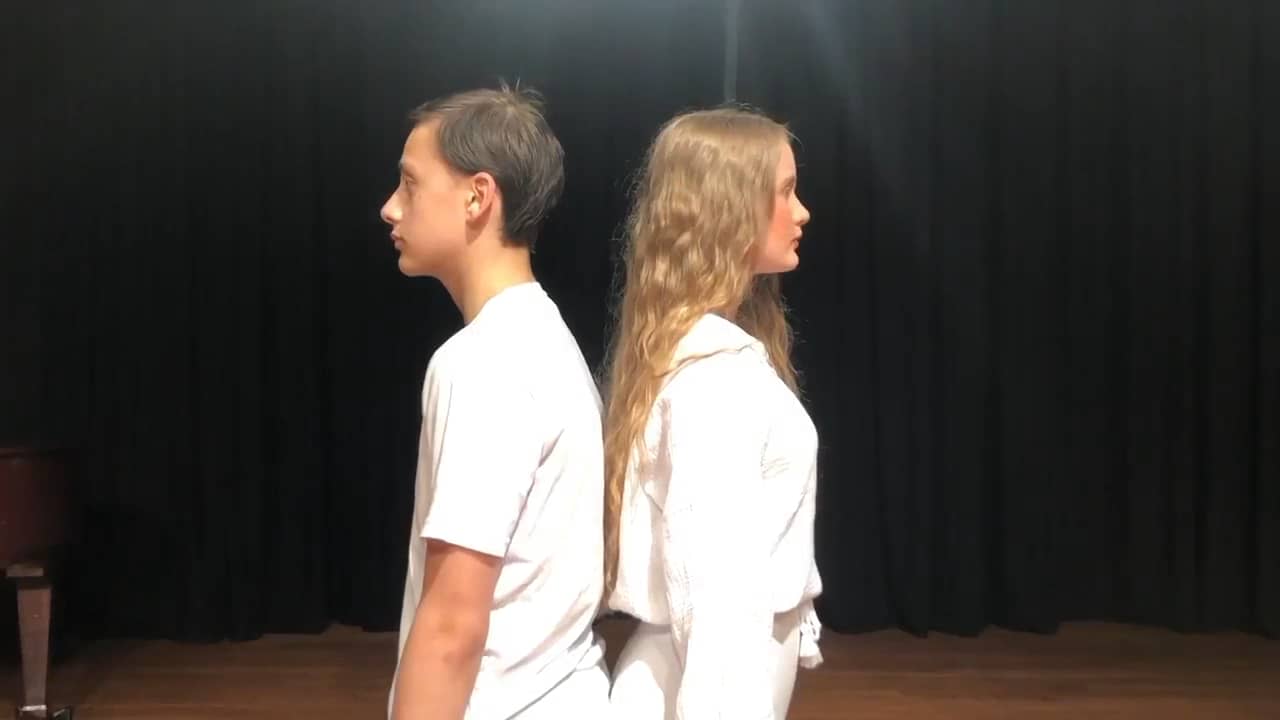 Ryde Secondary College - Falling Like The Stars on Vimeo