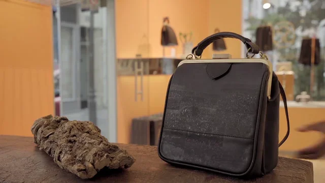 bebebark - video for website on Vimeo