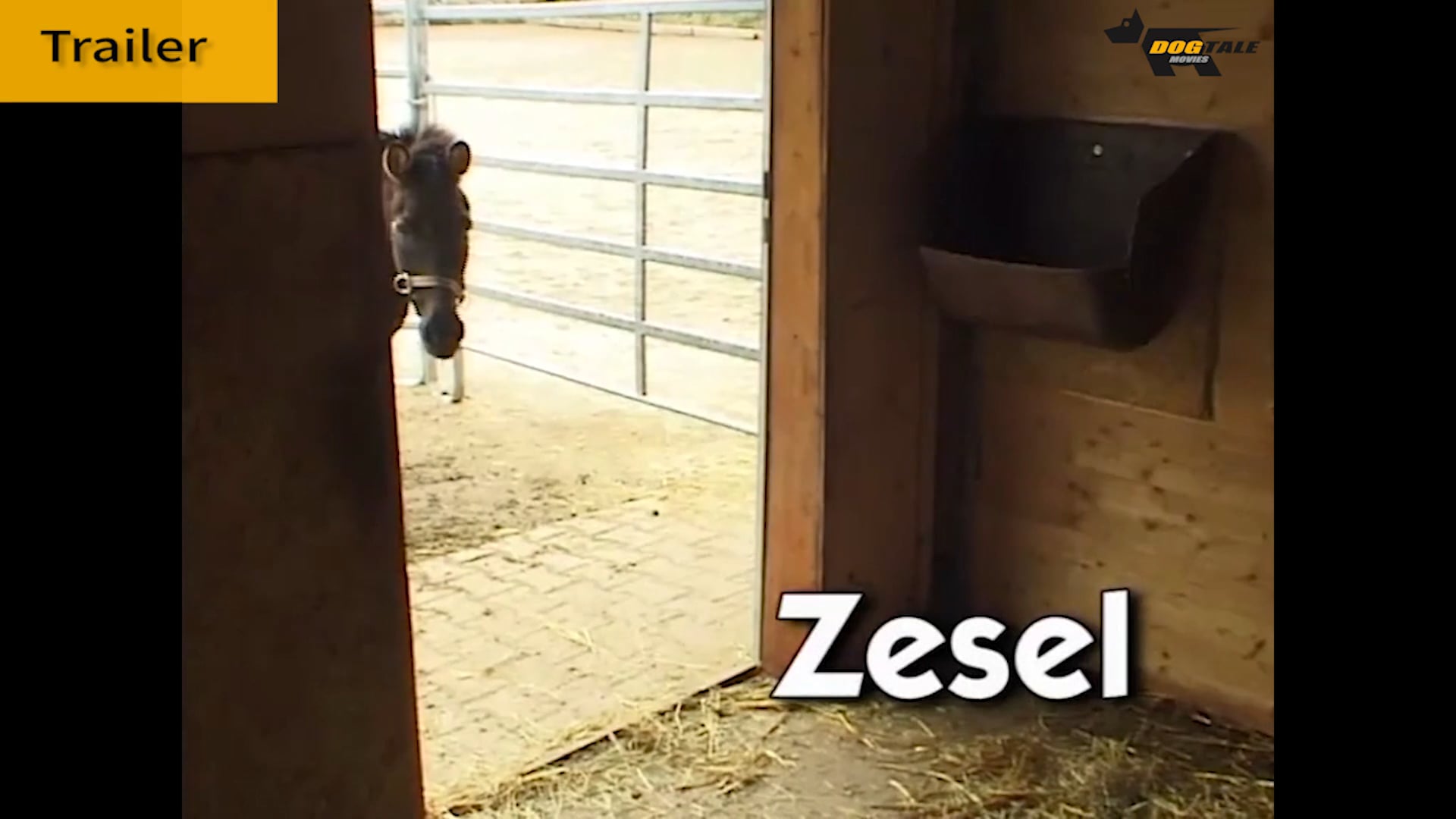 Zesel- eine wilde Geschichte mit Michael Geitner on Vimeo