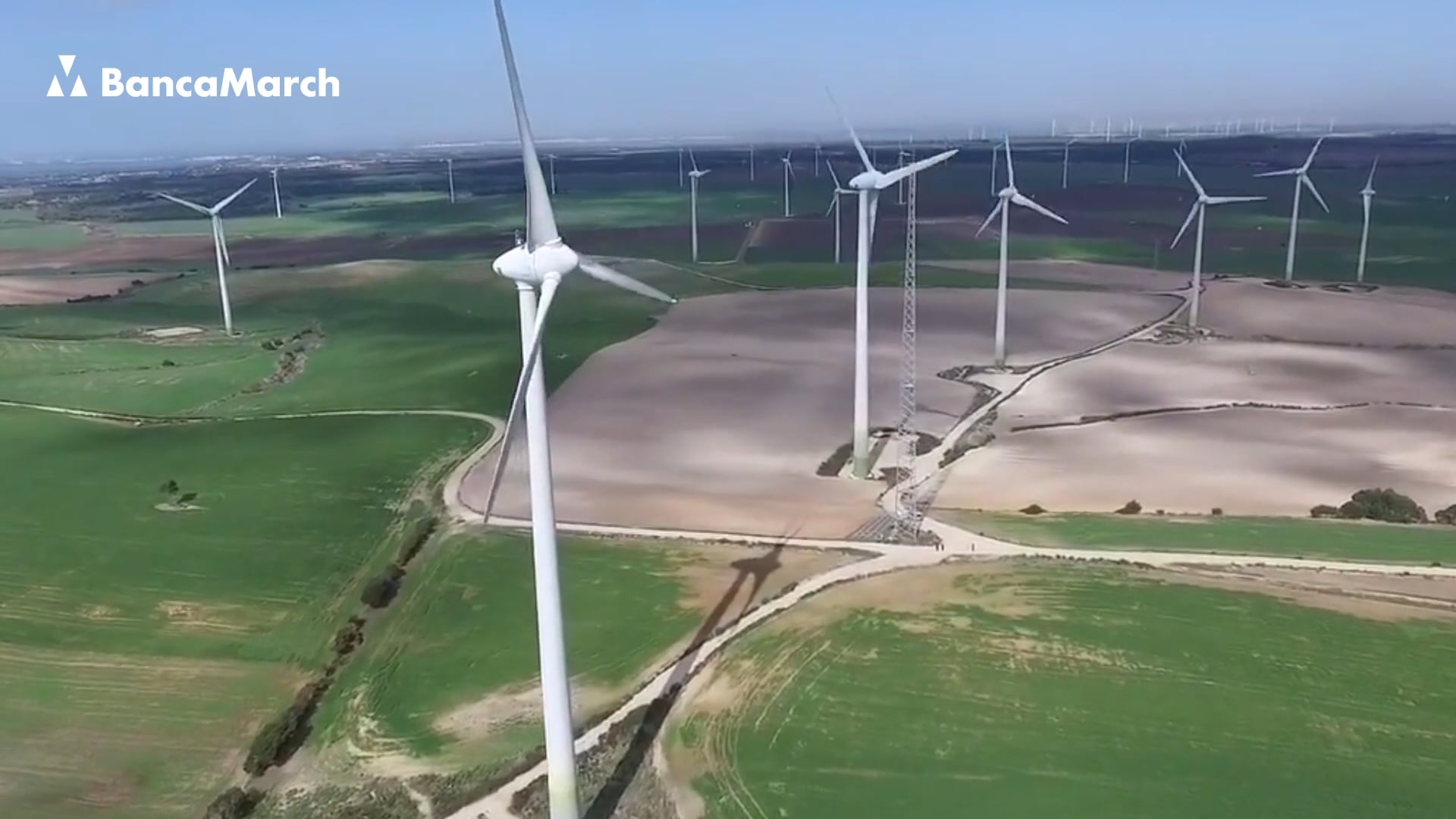 ENHOL FINAL 2021.mp4 on Vimeo