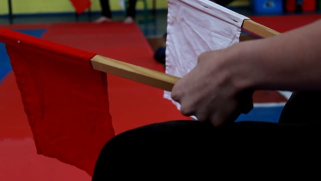 Flags, Karate, Sport. Free Stock Video - Pixabay