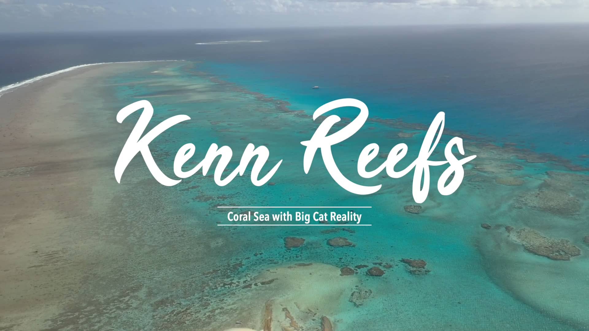 2021 KENN REEF Big Cat Reality May 11-20.mp4 on Vimeo