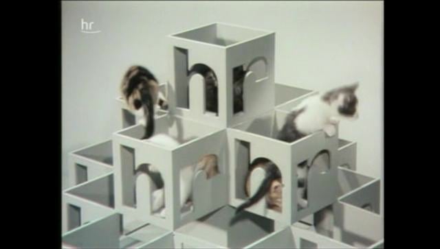 hr-Katzen on Vimeo
