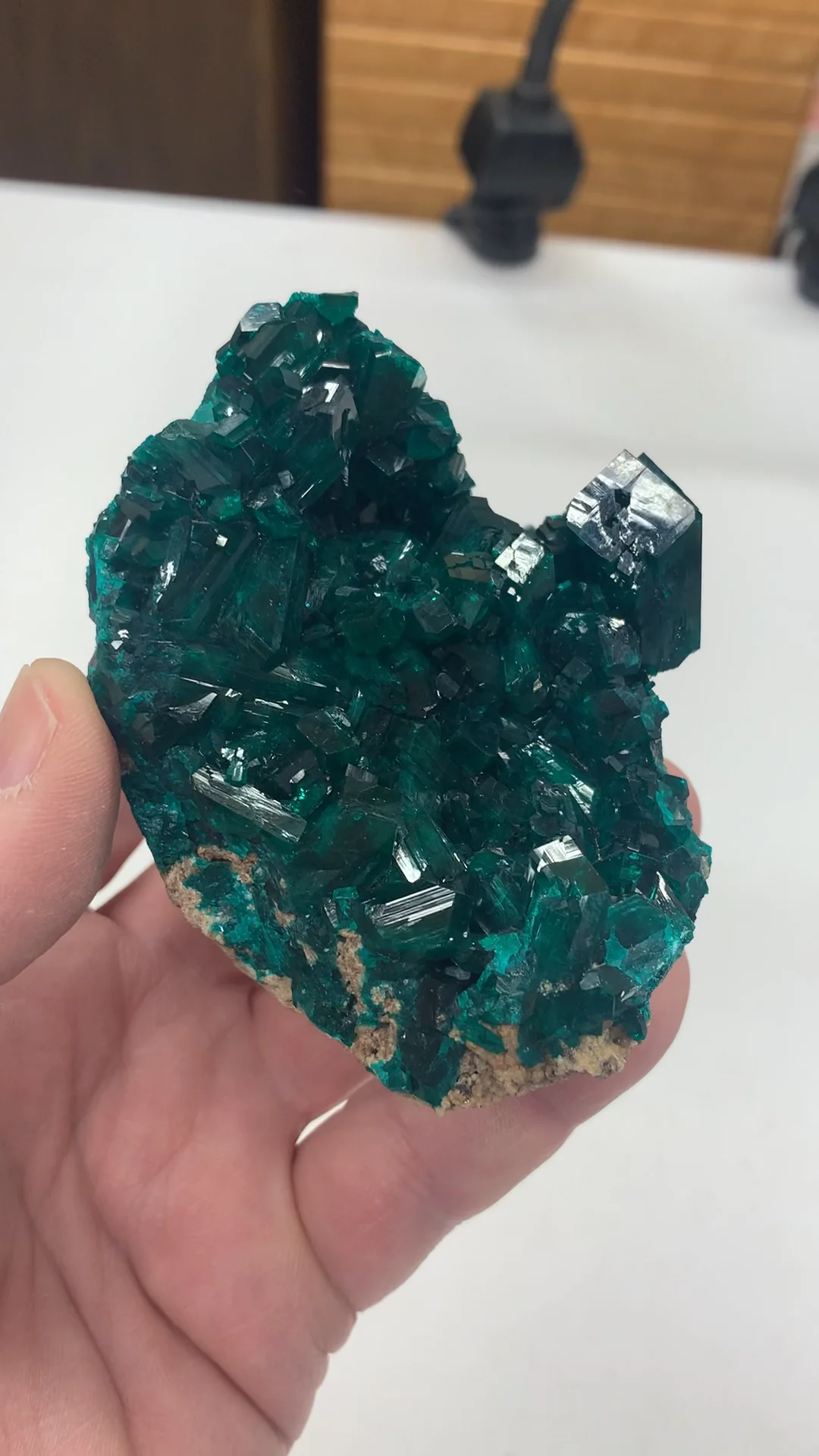 IMG_E8307.MOV on Vimeo