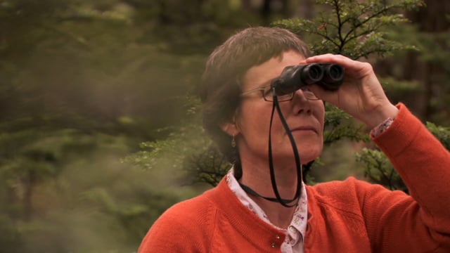 Exploring and observing — Science Learning Hub