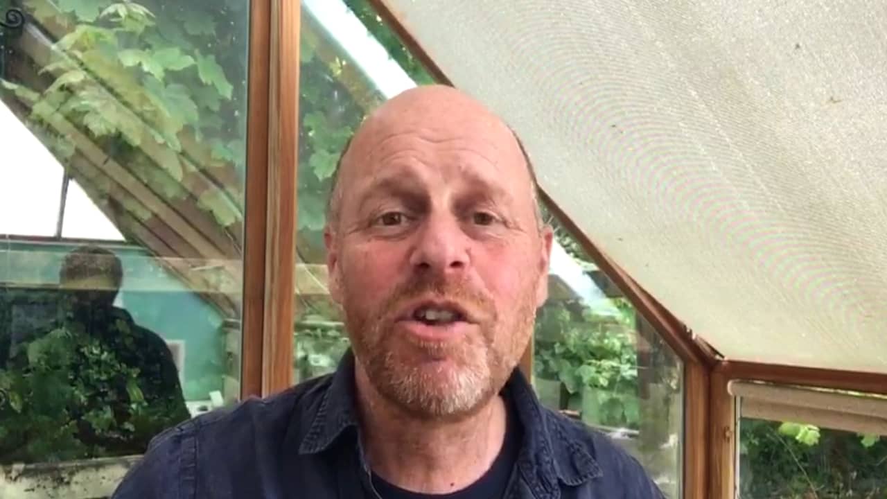 Joe Swift Midsummer Garden Life Festival 23-25 June on Vimeo