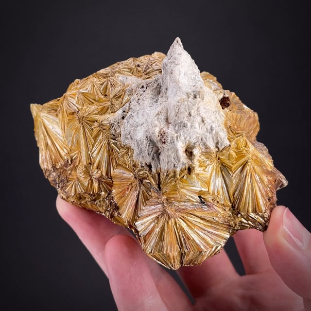 Pyrophyllite ex Jack Halpern Collection | Indian Gulch Mine, Hornitos ...