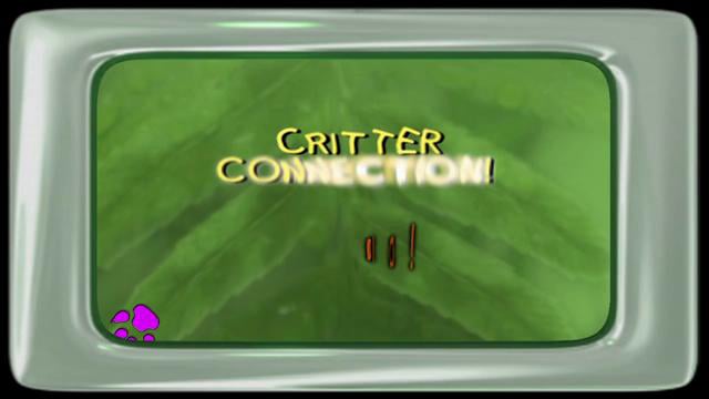 The Enviropals! Critter Connection "Gorillas" on Vimeo