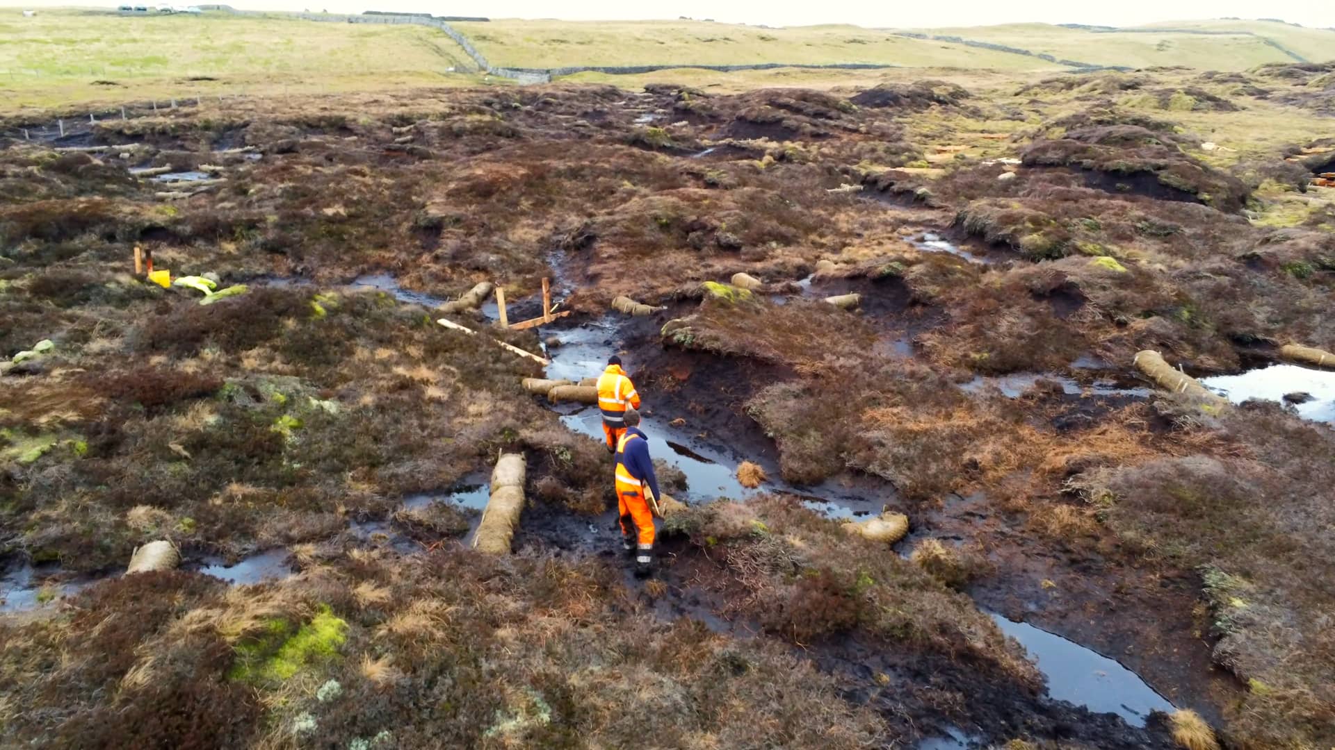 Timber dams on a wet peatland on Vimeo