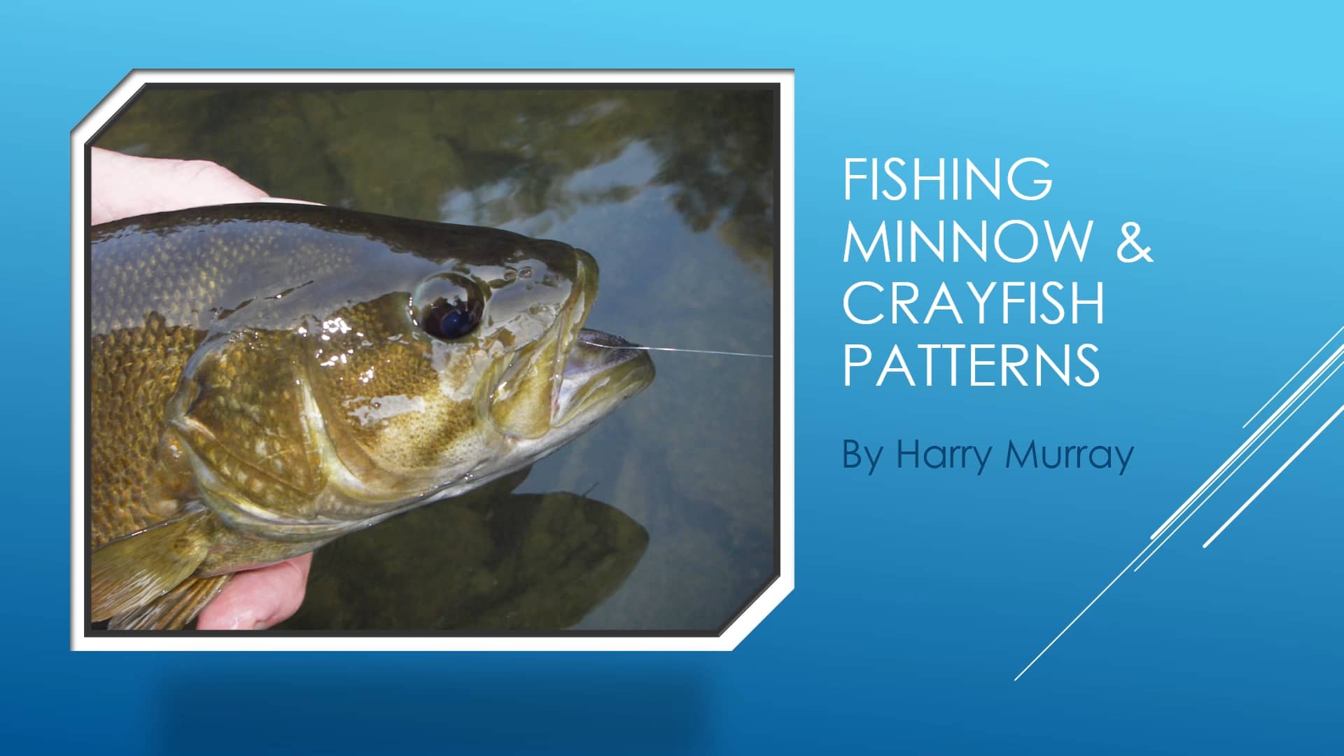 Fishing Minnow and Crayfish Patterns on Vimeo