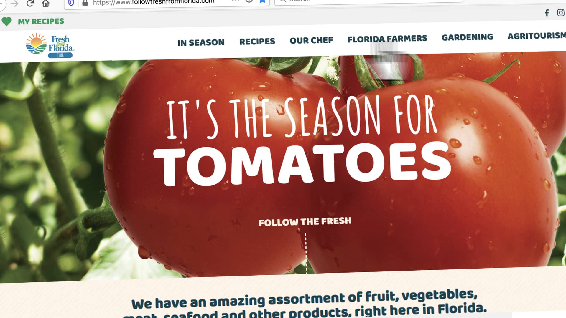 FFF Club 2021 - Call to Action on Vimeo