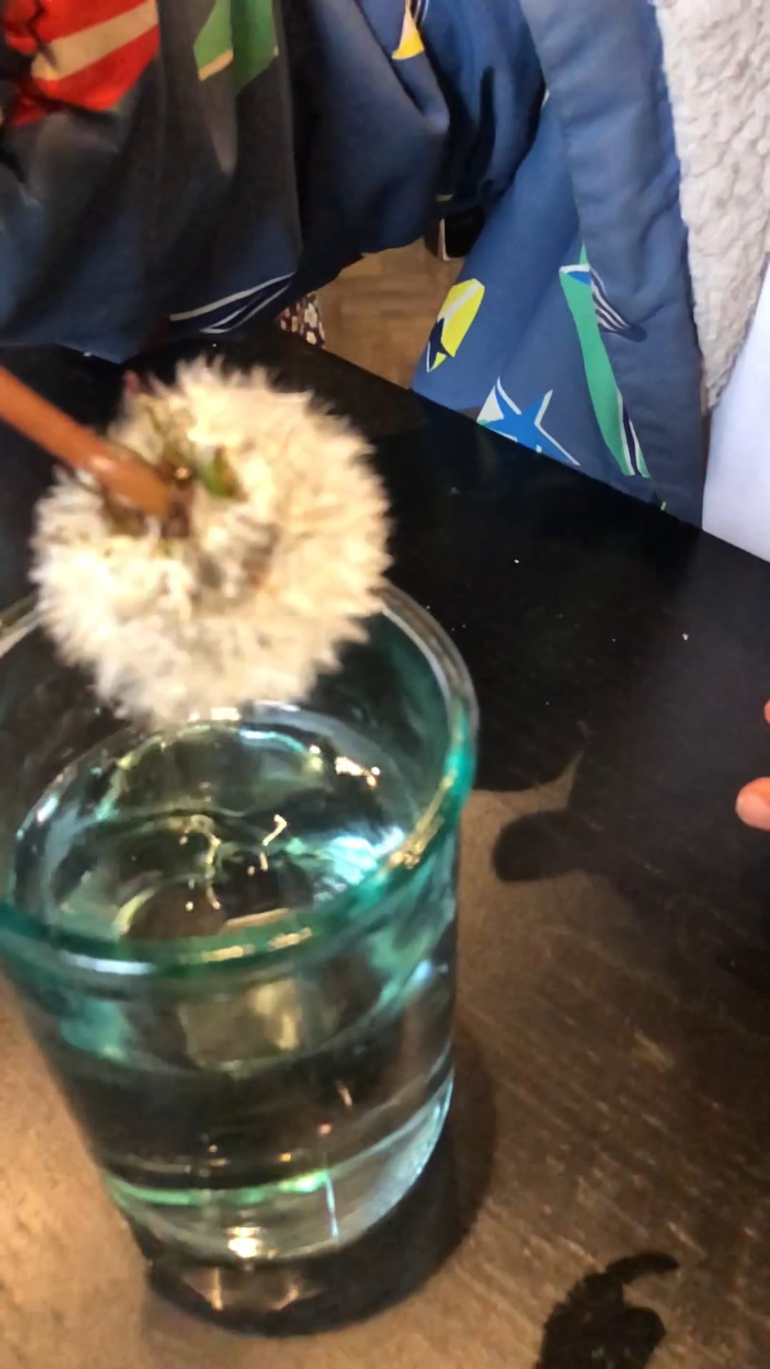 dandelion Experiment clip.MOV on Vimeo