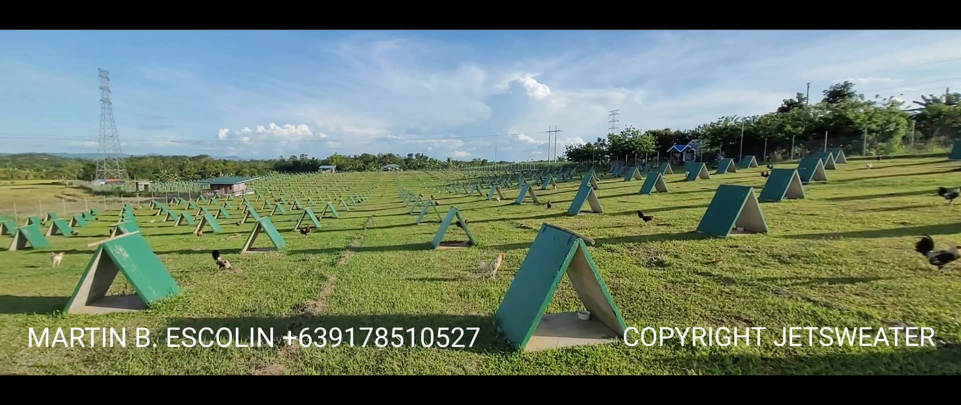 GREEN COUNTRY GAMEFARM MARTIN ESCOLIN on Vimeo