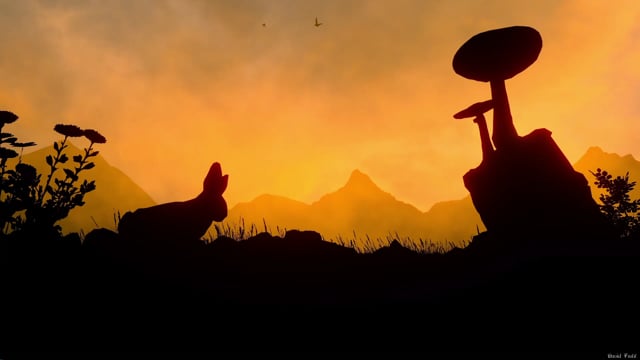 Rabbit Dusk Landscape - Free video on Pixabay