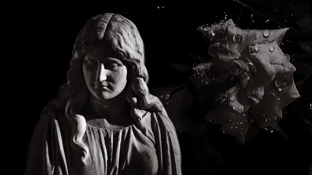 Mourning Statue Rose - Free video on Pixabay