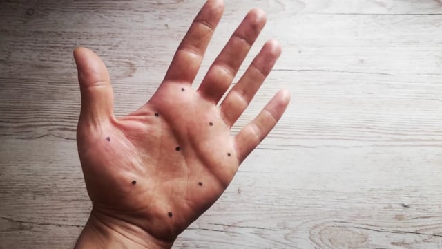 Tracking Hand Blender Tutorial Free Stock Video Pixabay 