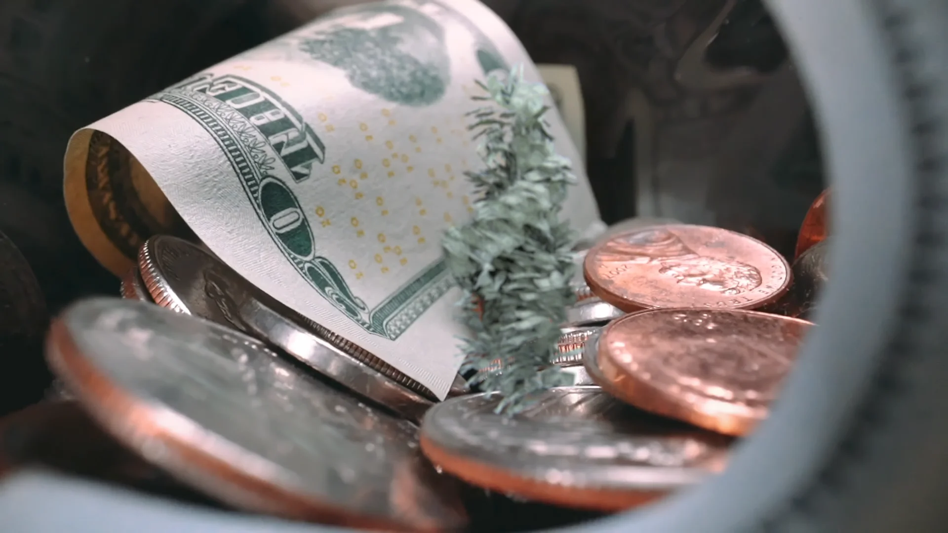 Dancing dollars on Vimeo