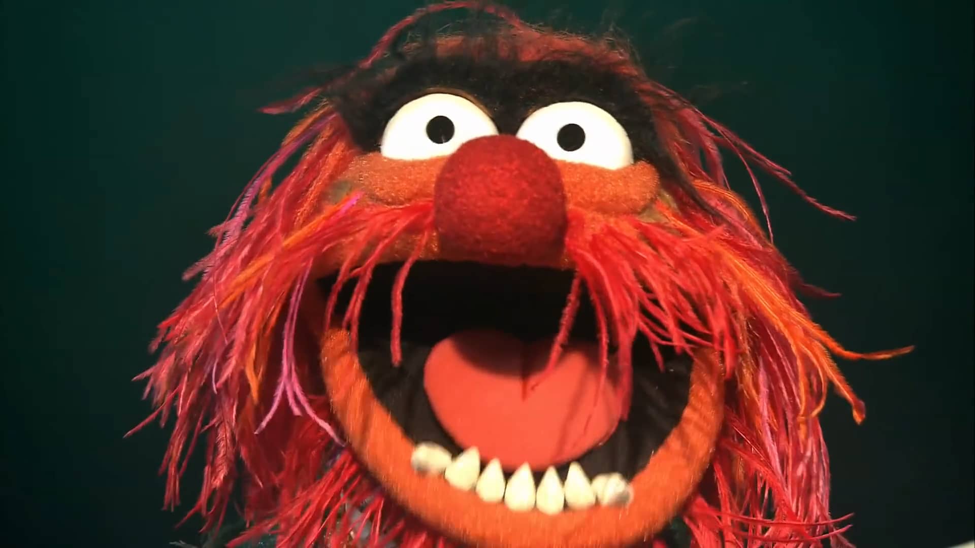 yt1s.com - Bohemian Rhapsody Muppet Music Video The Muppets.mp4 on Vimeo