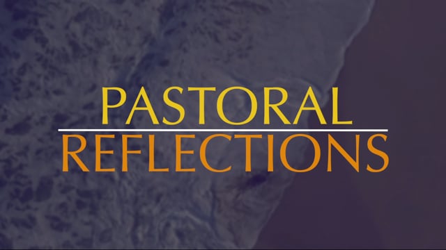 Pastoral Reflections on Vimeo
