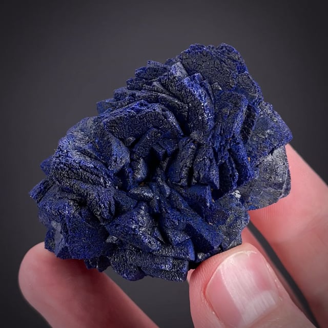 significant, large Morenci Azurite 'Rose' | 4850' level, Copper ...