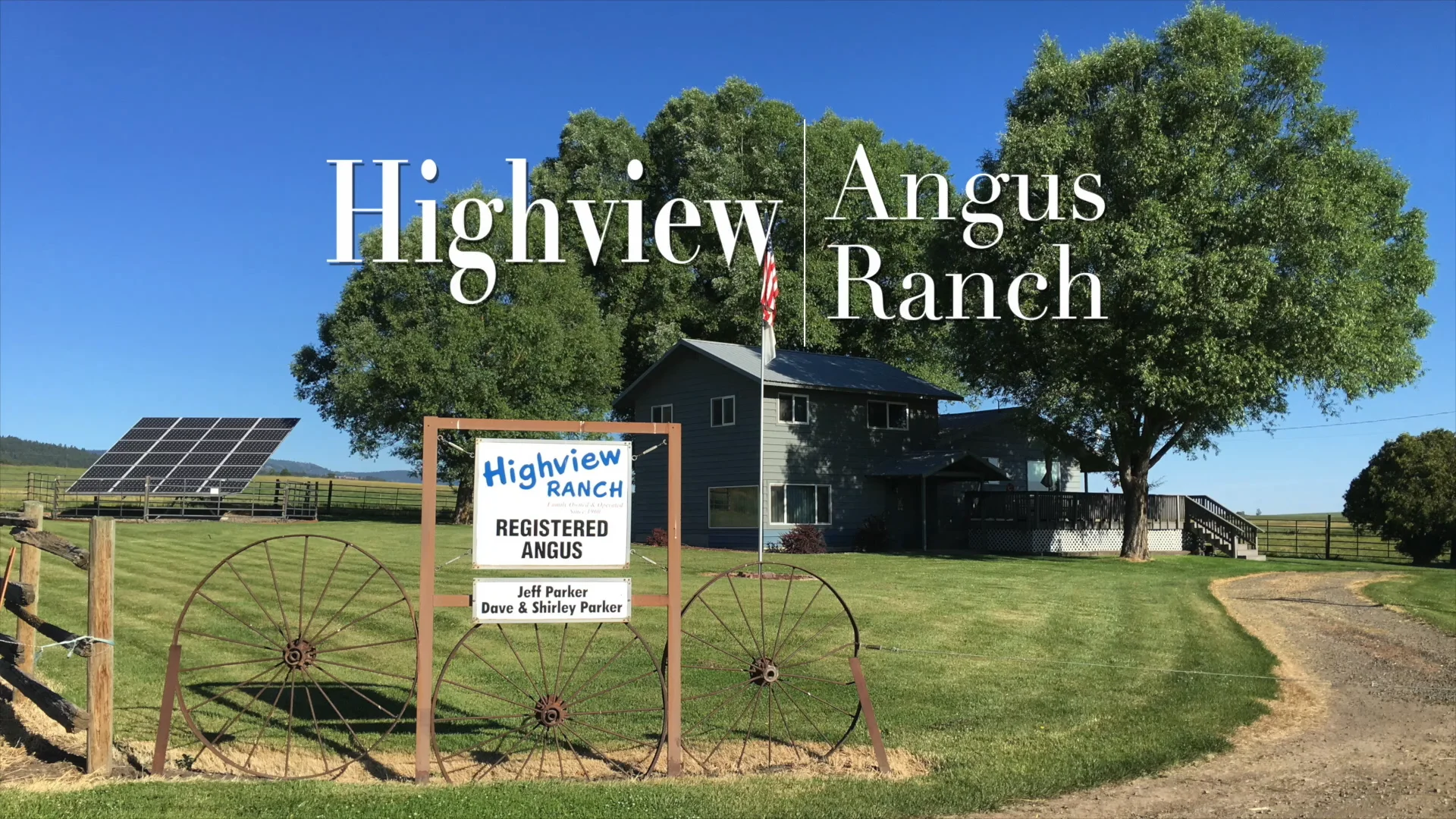 Moving Cows and their calves (06 2021) in Highview Angus Ranch on Vimeo