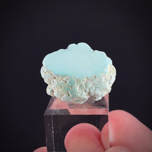polished Turquoise nodule (RARE California!) Bob Reynolds Coll. | Iron ...
