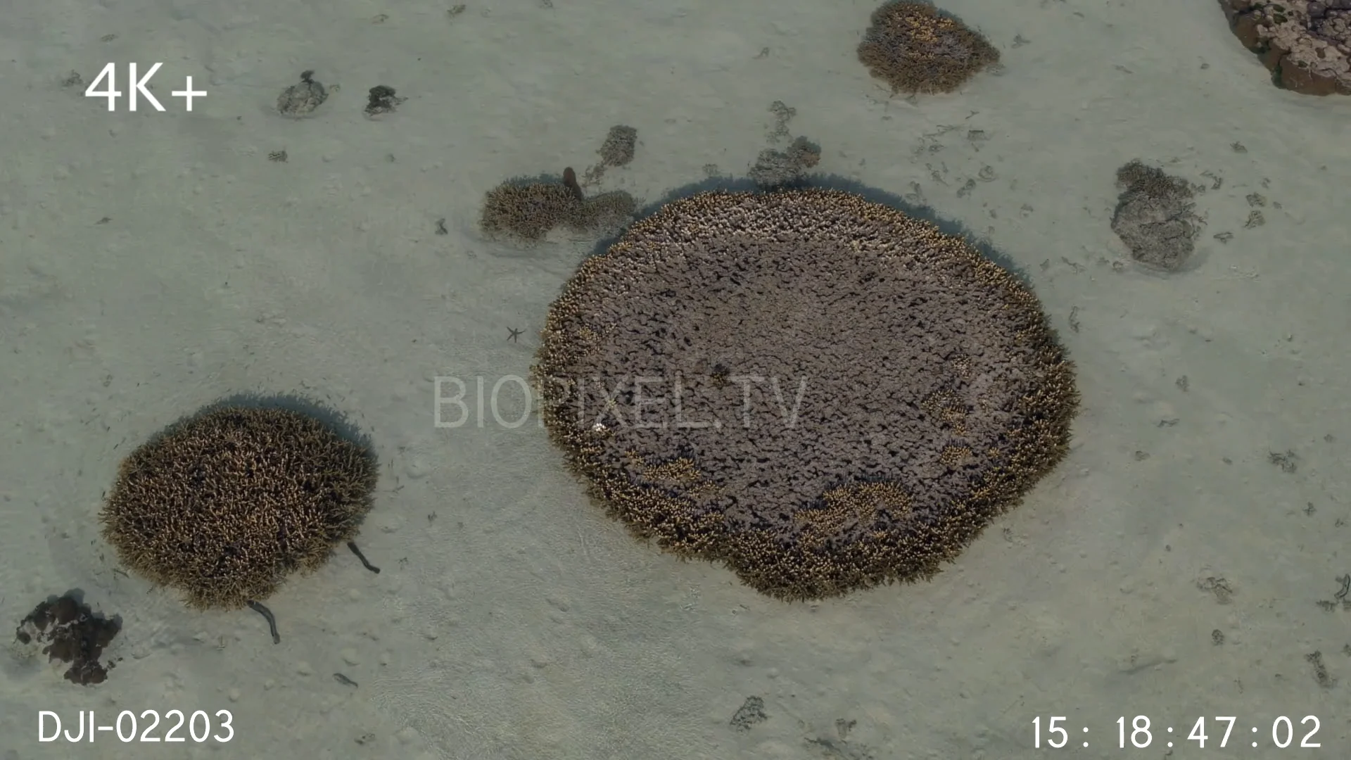 Netflix Friendly Low Compression - Aerial - orbit around micro atoll on ...