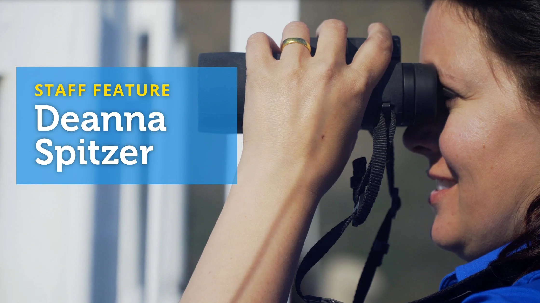 Staff Feature: Deanna Spitzer on Vimeo