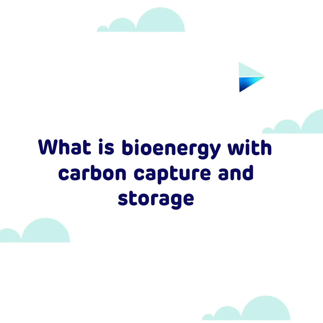What is BECCS? Bioenergy with Carbon Capture and Storage animation [1:1 ...
