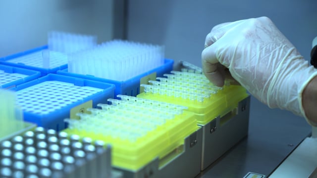 Laboratório Teste Tubo - Free video on Pixabay - Pixabay