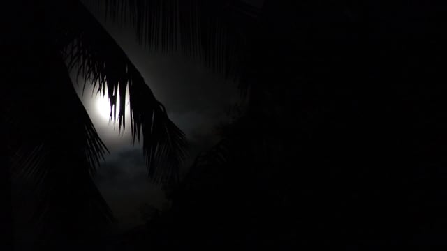 Moon, Dark, Shadow. Free Stock Video - Pixabay