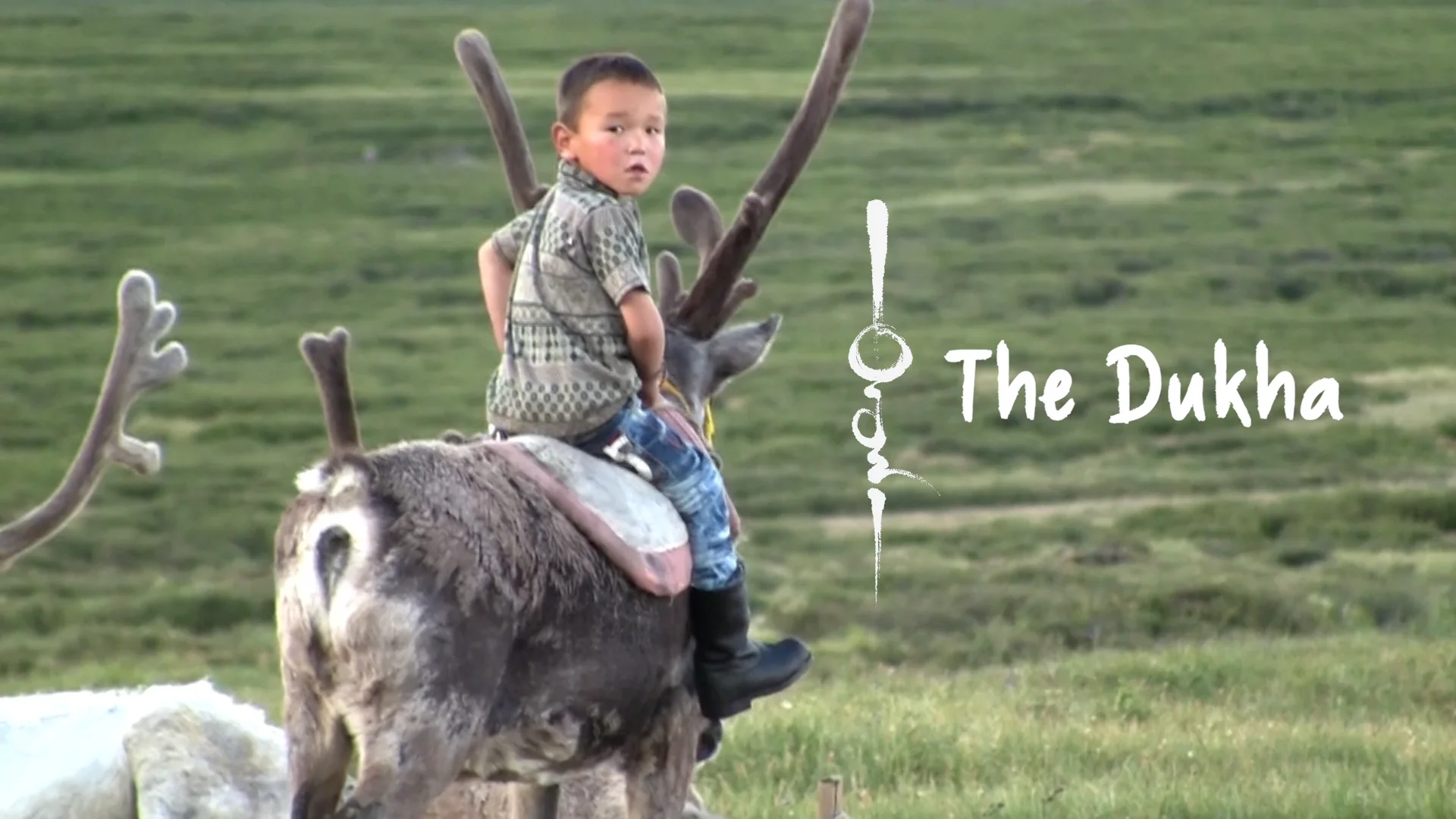 The Dukha - Trailer on Vimeo