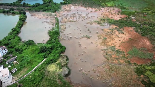 Lago Pantano Árboles - Free video on Pixabay - Pixabay