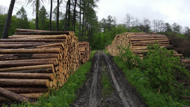 Log Videos: Download 54+ Free 4K & HD Stock Footage Clips - Pixabay